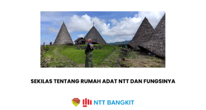 Menarik, Mari Mengenal Jenis dan Fungsi Rumah Adat NTT Disini - NTT Bangkit
